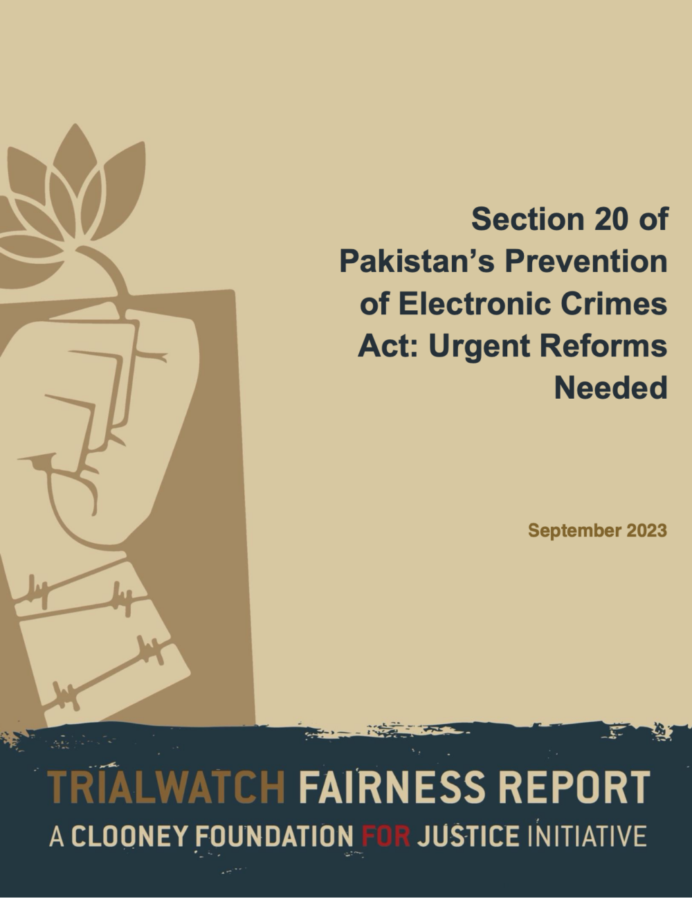 Section 20 of Pakistan’s Prevention of Electronic Crimes Act: Urgent ...